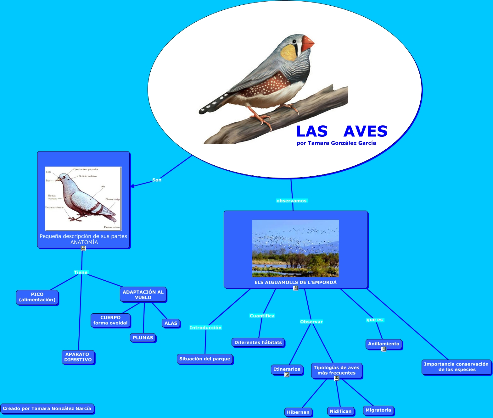 LAS AVES